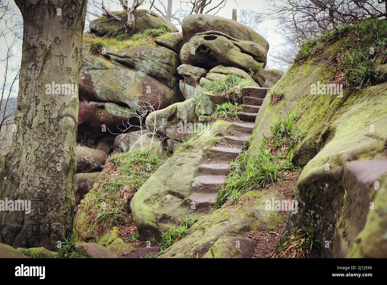Rowtor Rocks in Birchover, Peak District, UK Stock Photo - Alamy