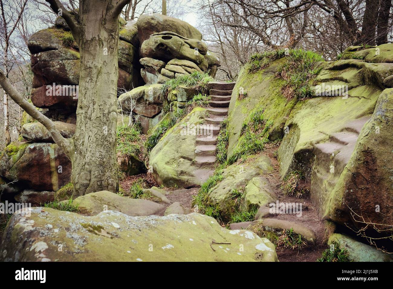Rowtor Rocks in Birchover, Peak District, UK Stock Photo - Alamy