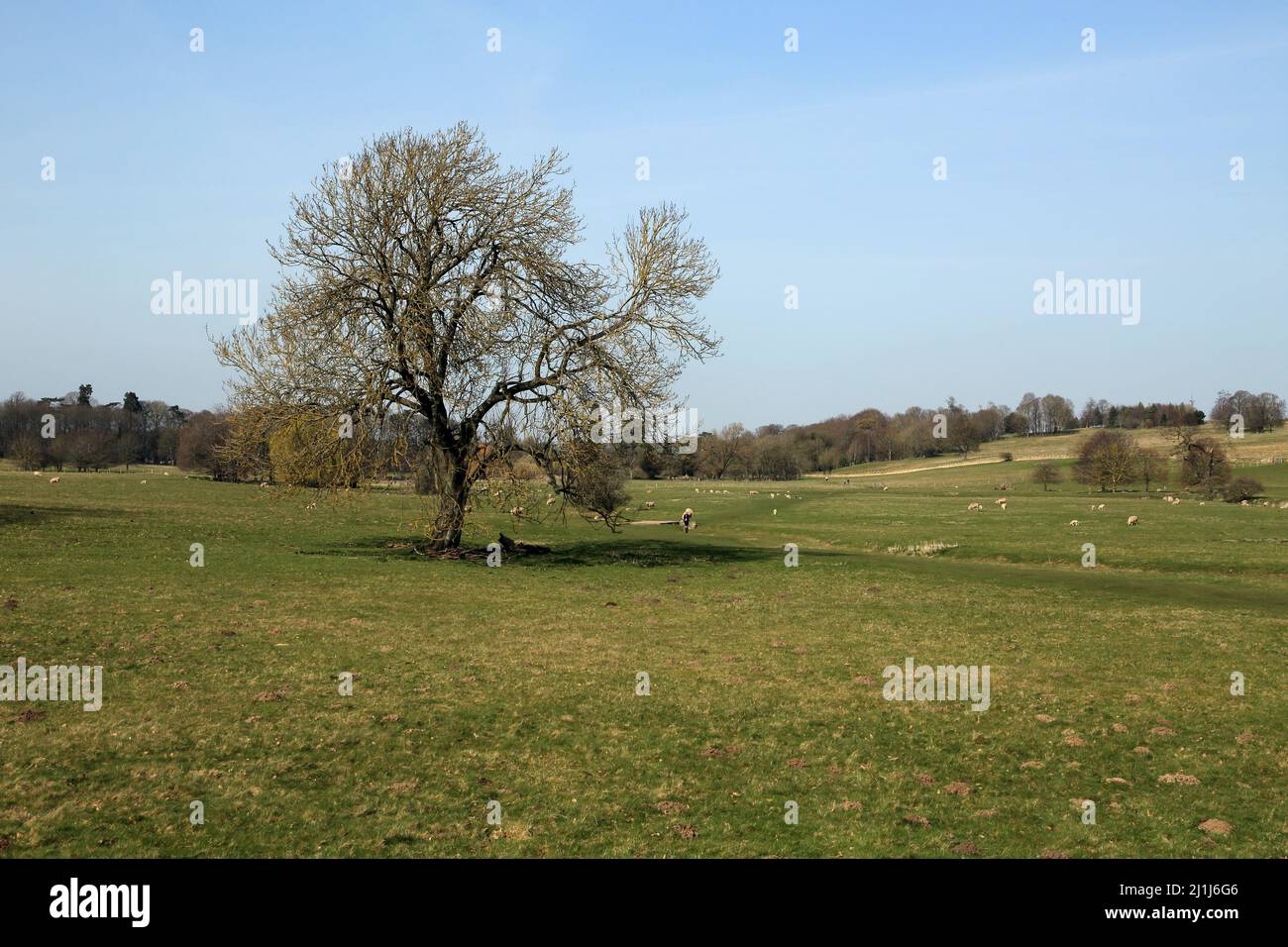 Bishopsbourne countryside hi-res stock photography and images - Alamy