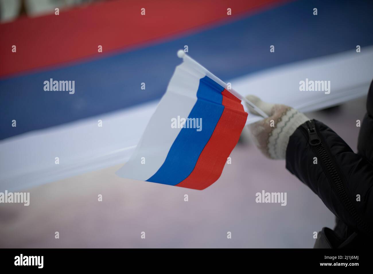 Flag of Russia in hand. Symbol of state of Russian Federation. National ...