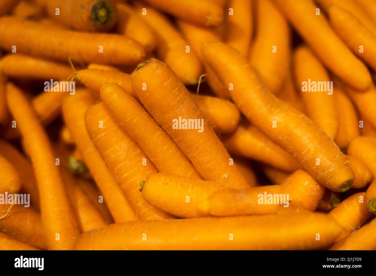 Lots of carrots. Food high in vitamin A. Vegetables on market. Red ...