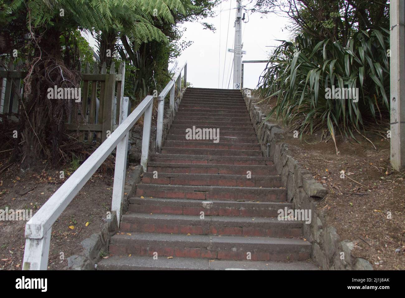 New Zealand, Wellington - January 10 2020: the view of stairs up in ...