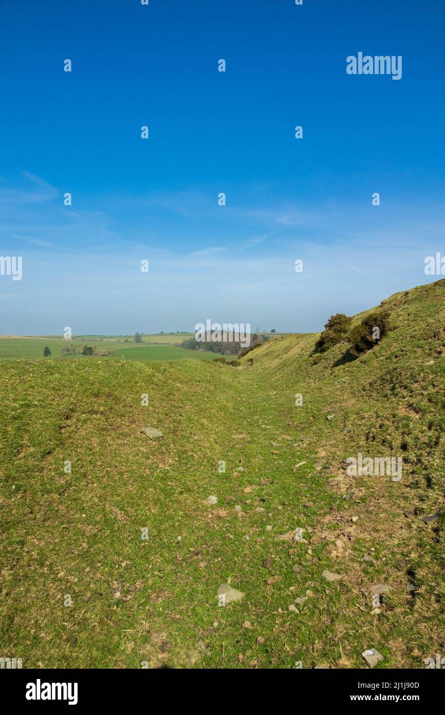 Offa's Dyke: section on the western slope of Llanfair Hill Stock Photo ...