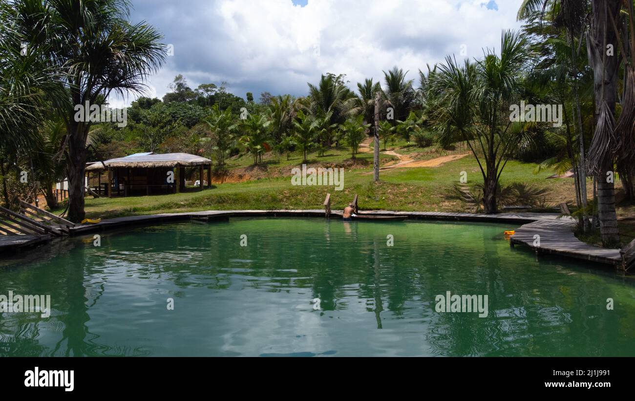 Blue lagoon in the Amazon jungle Stock Photo - Alamy