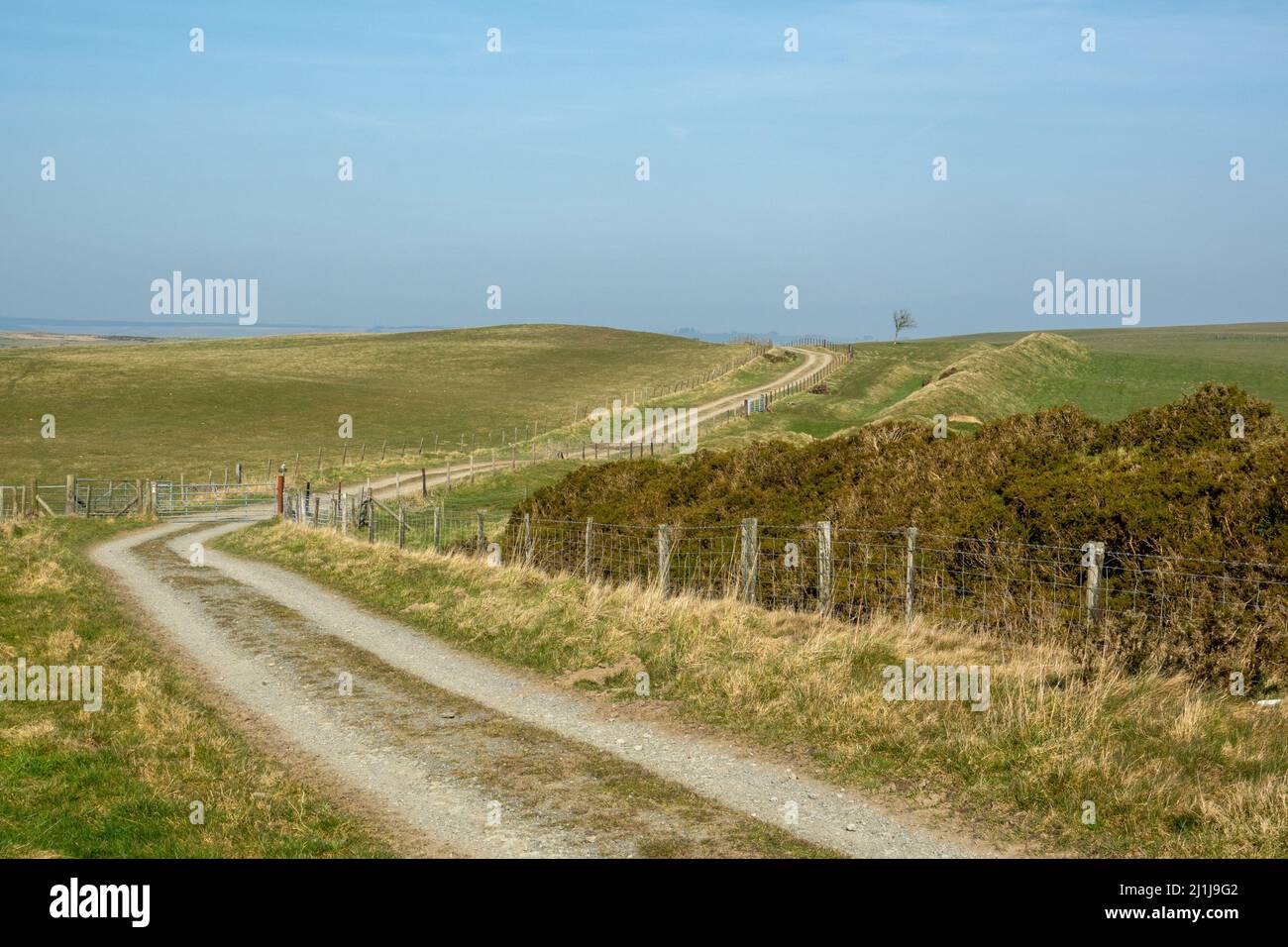 Offa's Dyke path section on the western slope of Llanfair Hill Stock ...