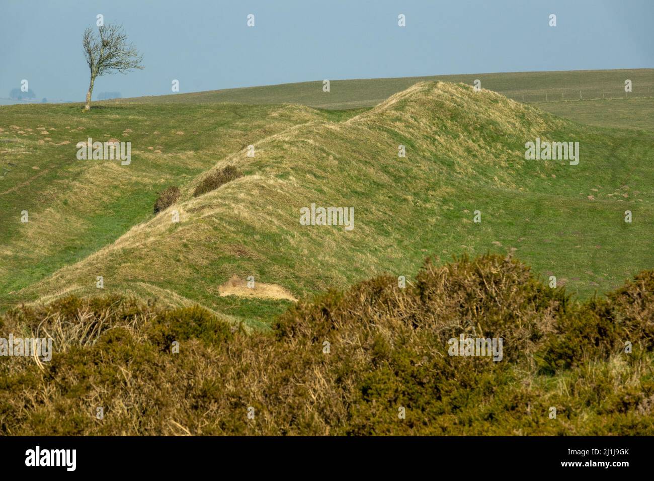 Offa's Dyke: section on the western slope of Llanfair Hill Stock Photo ...