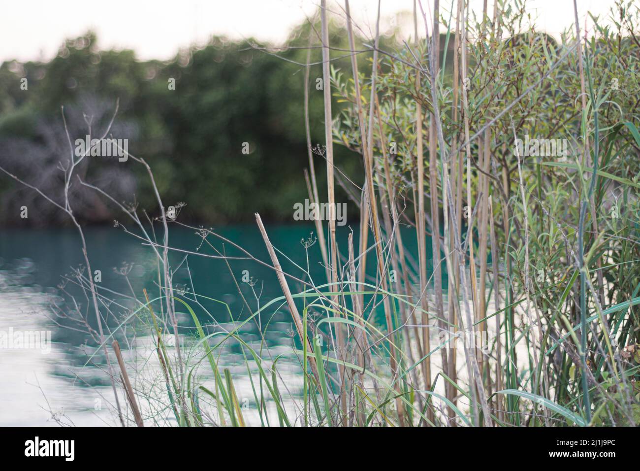 Turkey Mediterranean region in the manavgat river, near the city of ...