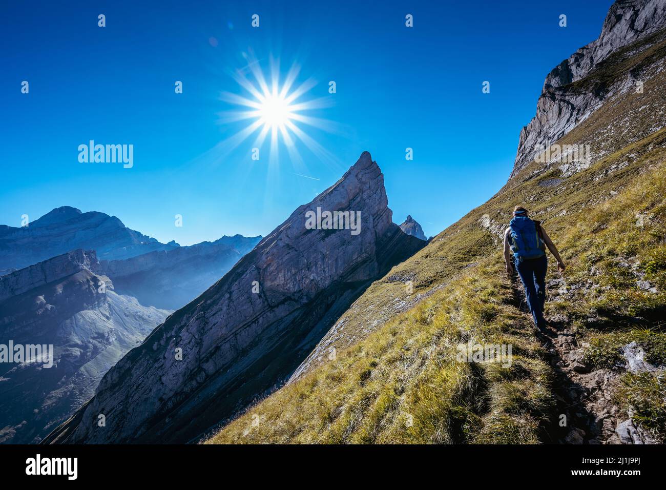 Schafler hi-res stock photography and images - Alamy