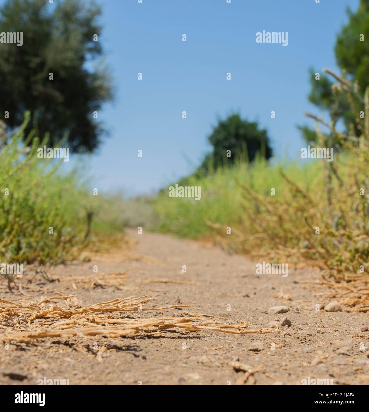 Aspendos Ancient City footpath. Aspendos acropolis city ruins, cisterns ...