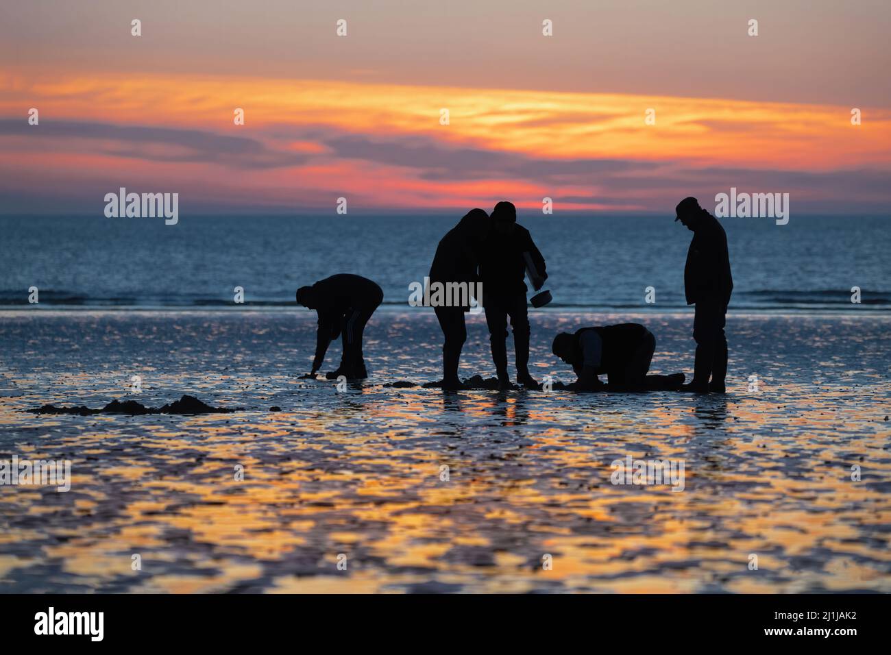 Filet de crevette hi-res stock photography and images - Alamy