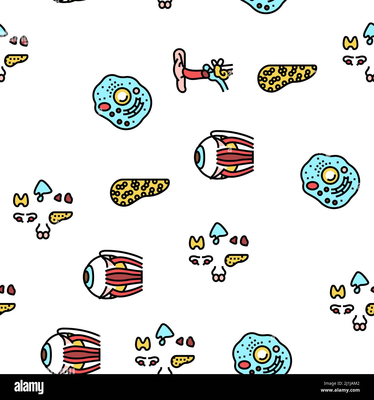 Human Internal Organ Anatomy Vector Seamless Pattern Stock Vector Image ...