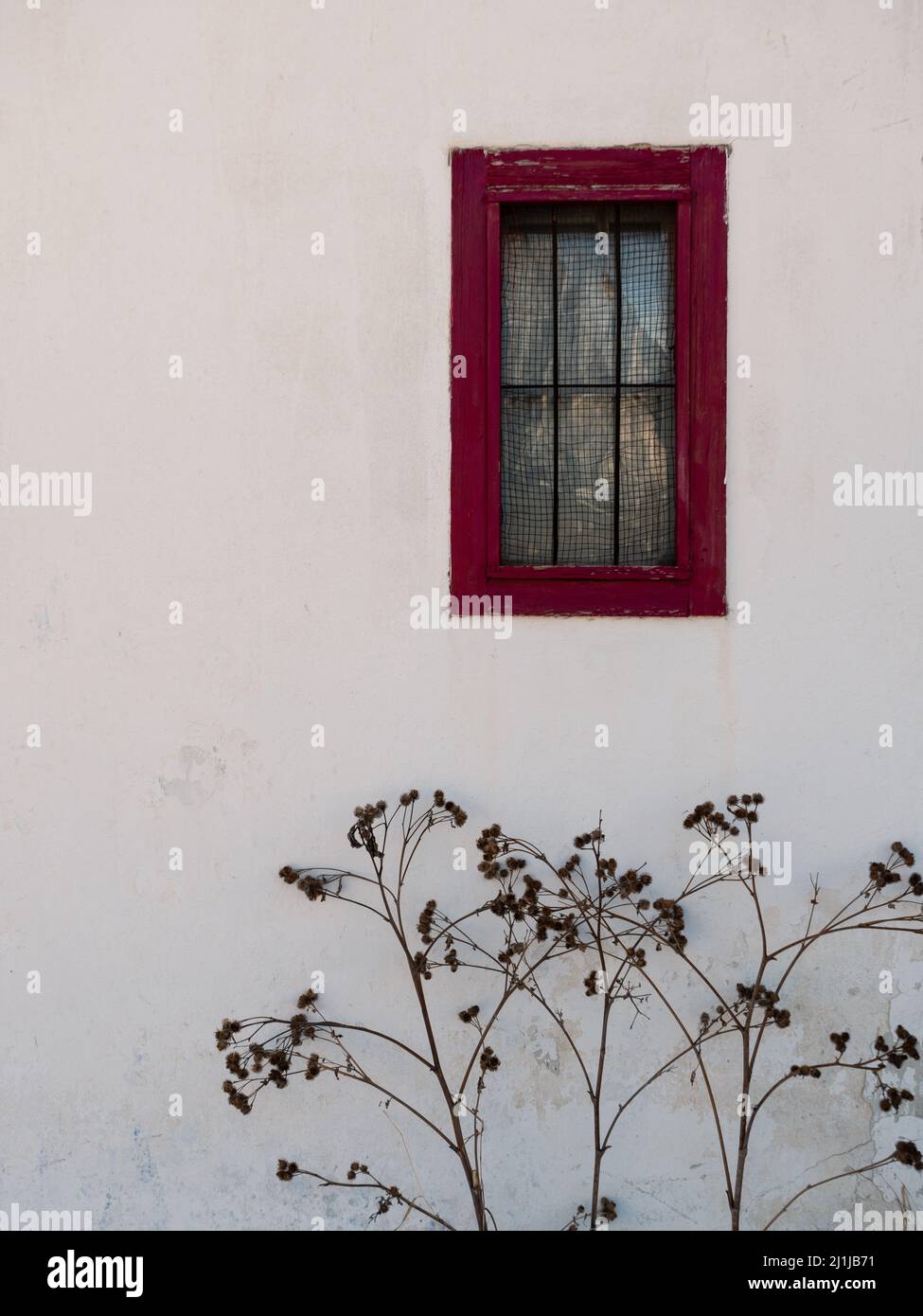 Red Window and White Wall with Dried Plants on a House in Cortina d ...