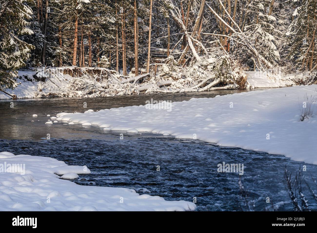 River in winter, snow both sides of shore, sun shines on coniferous ...
