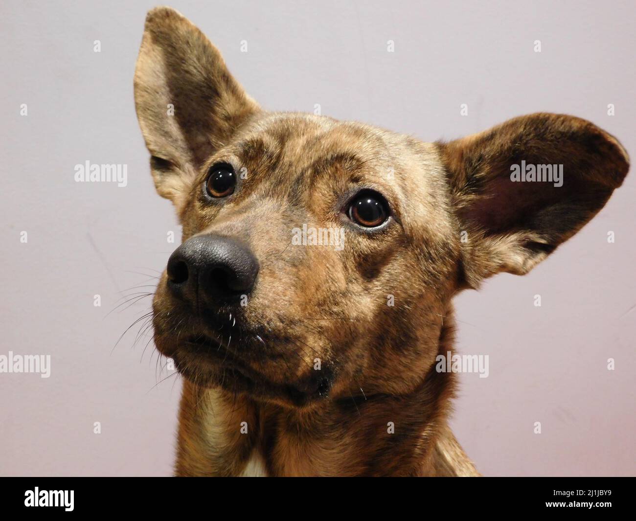 Public domain hi-res stock photography and images - Alamy