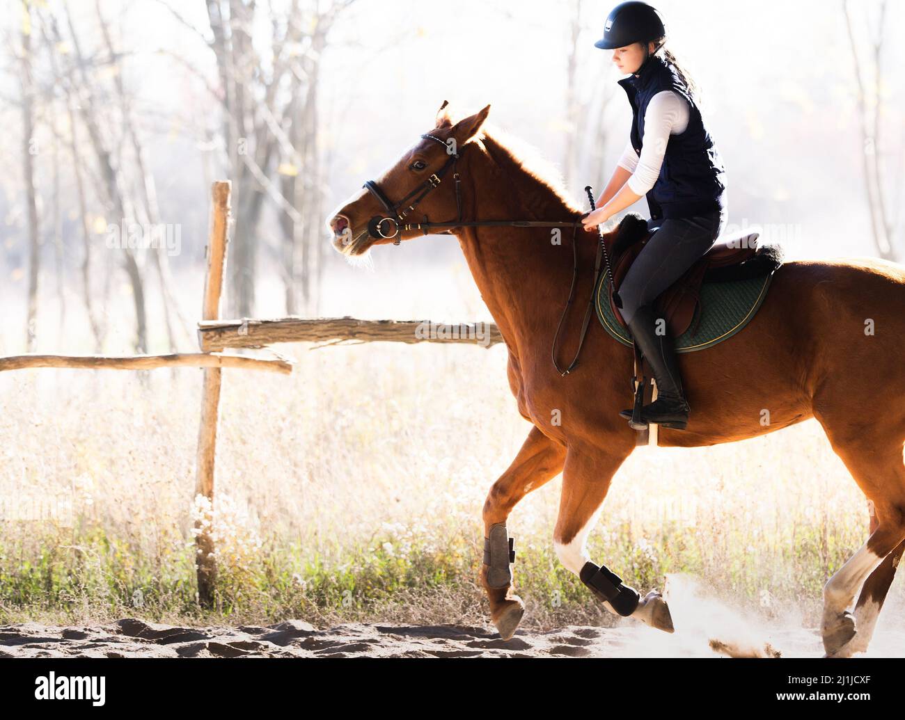 Young pretty girl riding a horse Stock Photo - Alamy