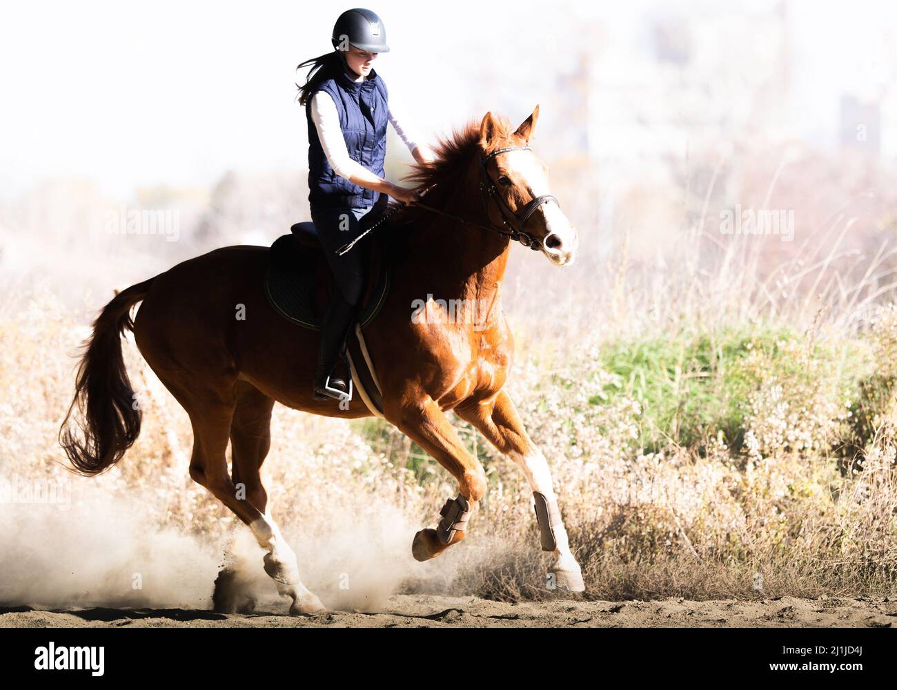 Young pretty girl riding a horse Stock Photo - Alamy