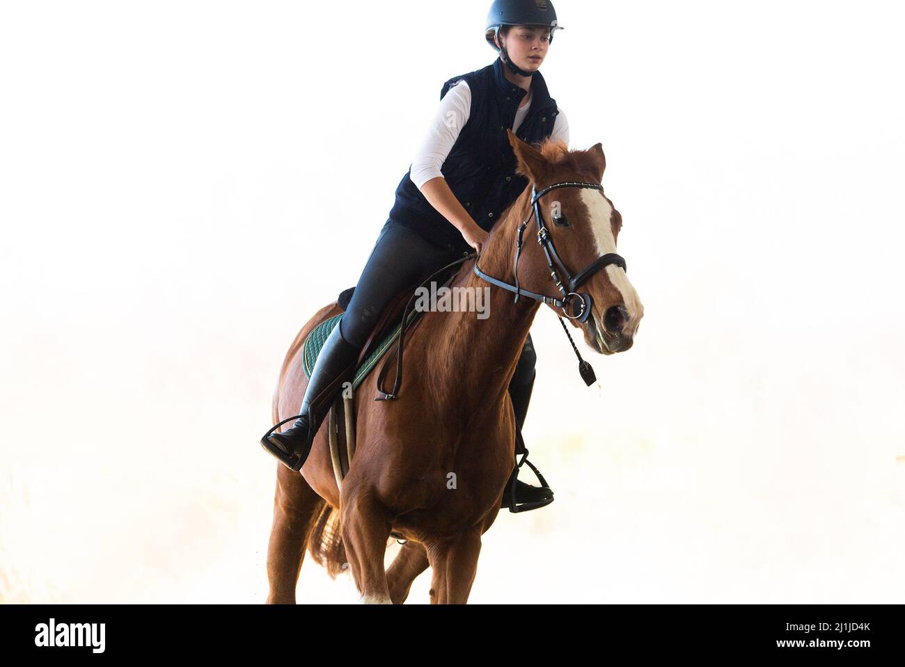 Young pretty girl riding a horse Stock Photo - Alamy
