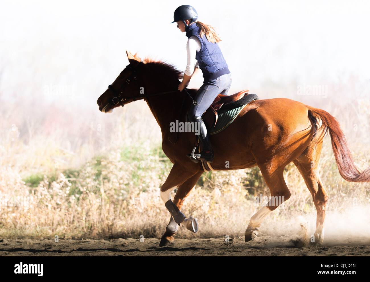 Young pretty girl riding a horse Stock Photo - Alamy