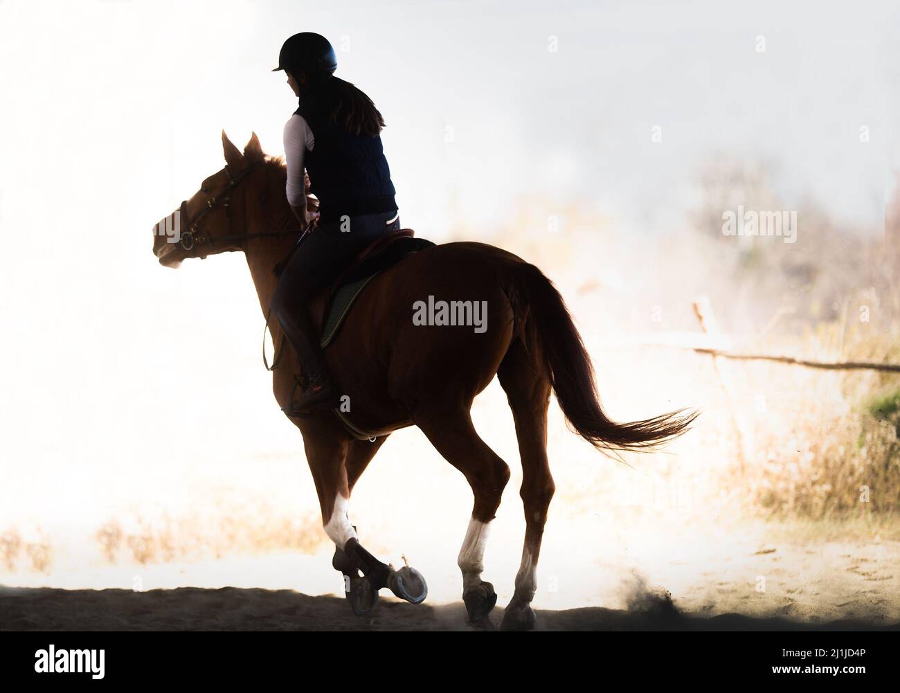 Young pretty girl riding a horse Stock Photo - Alamy