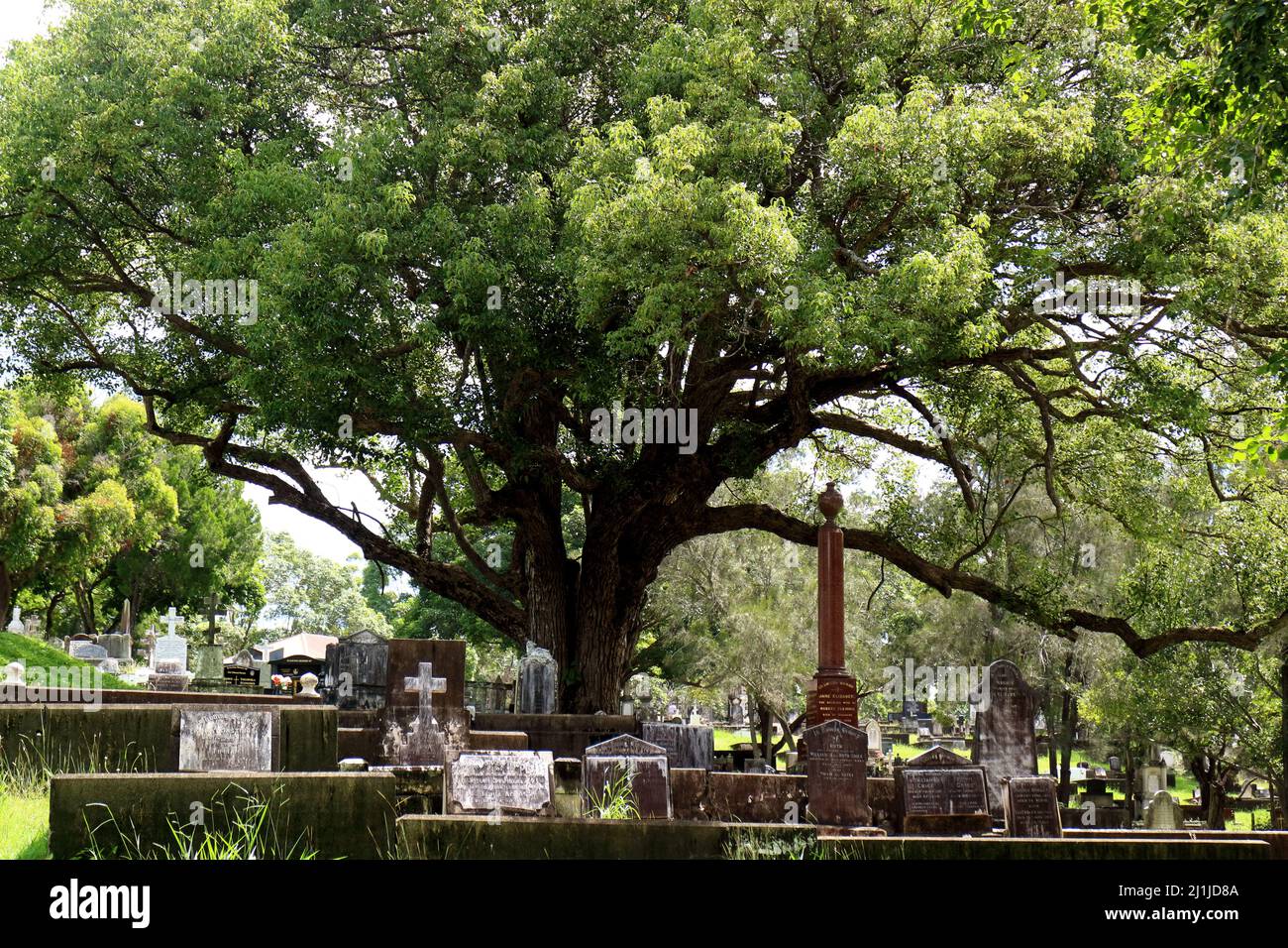Toowong cemetery hi-res stock photography and images - Alamy
