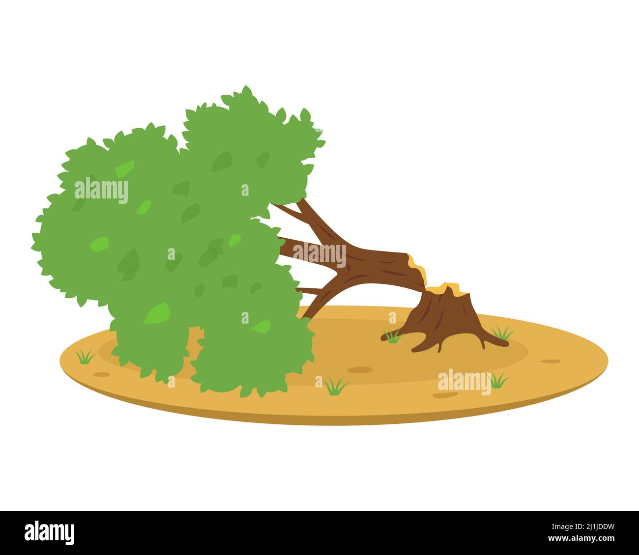 Debris hurricane Cut Out Stock Images & Pictures - Alamy