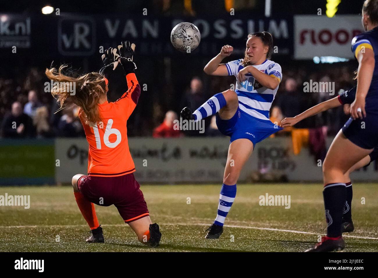 Feamoisa van koot hi-res stock photography and images - Alamy