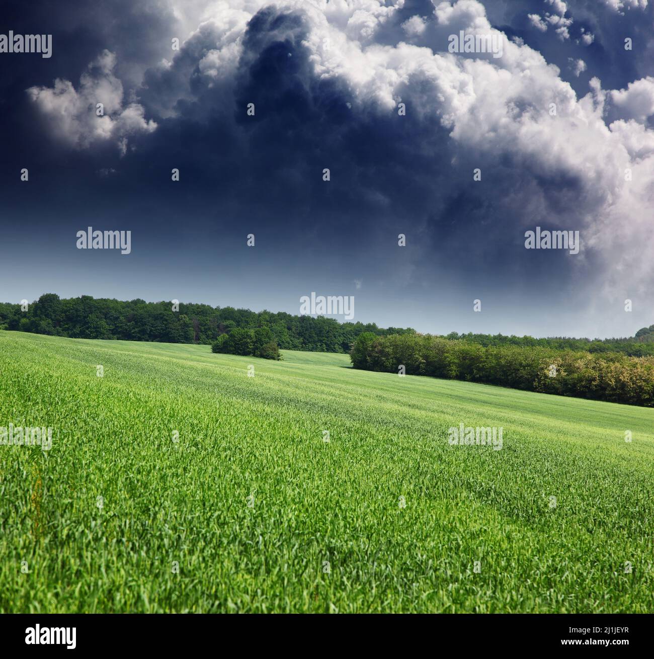 Summer field and dramatic sky before storm. Dark ominous clouds Stock ...