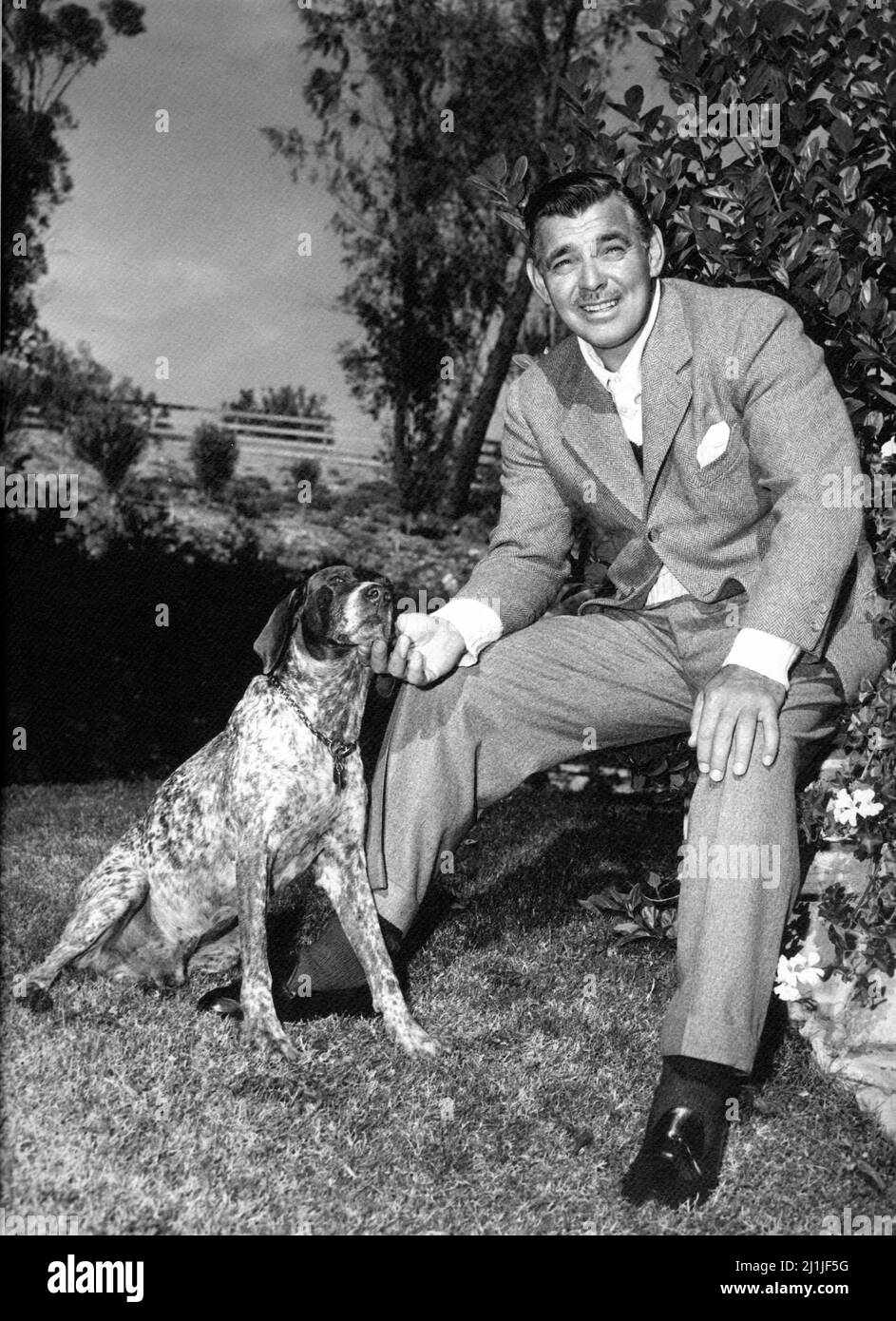CLARK GABLE with his dog BOB a German Short-Haired Pointer at his Ranch ...