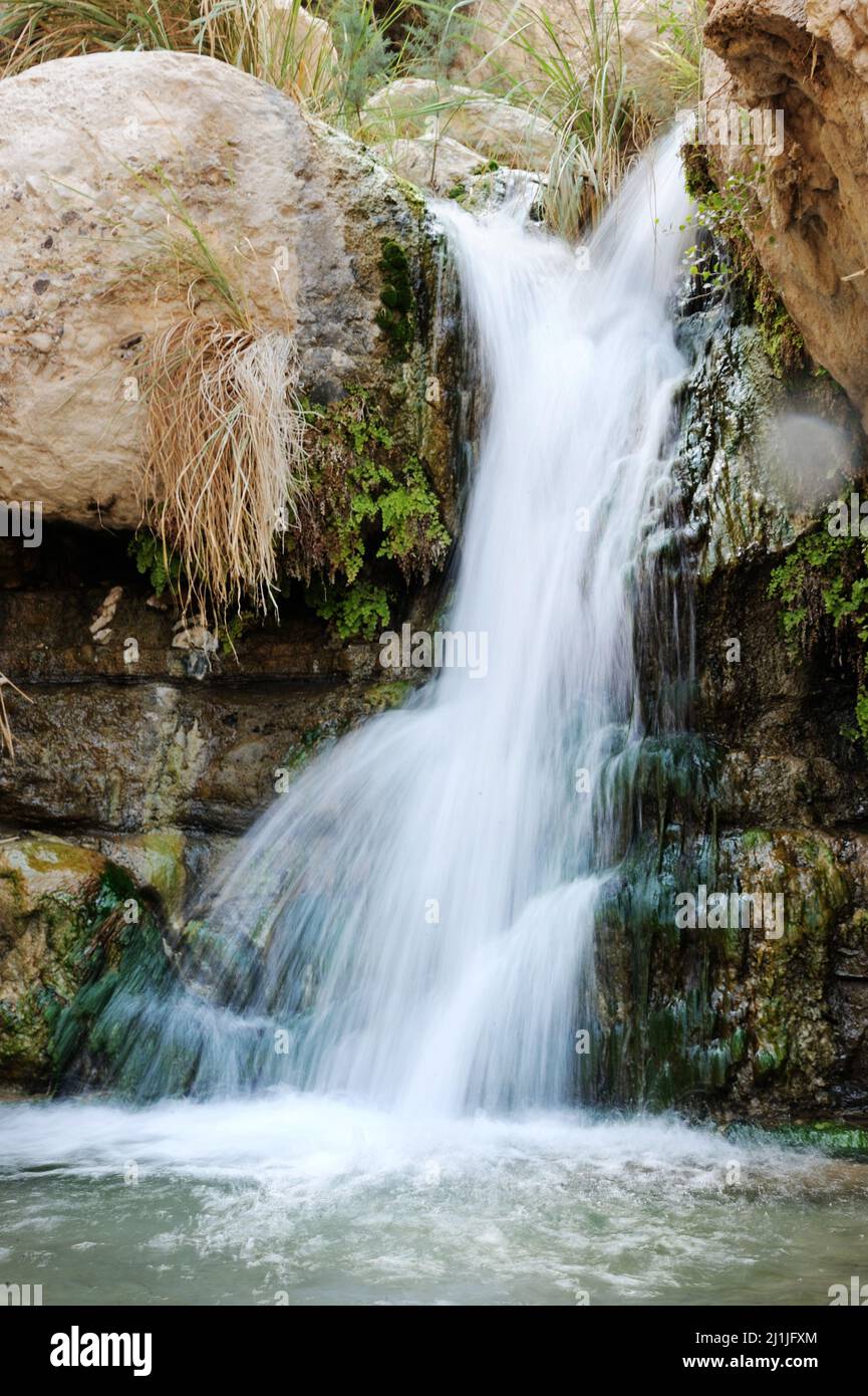 Streams and waterfalls Nature Reserve Ein Gedi at the Dead Sea in ...
