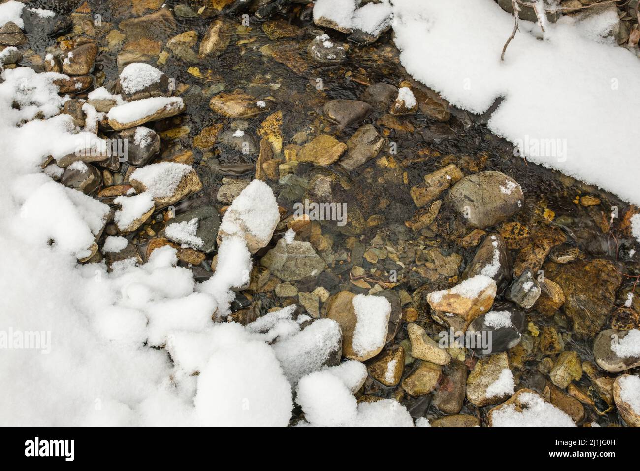 A forest stream in the snow in winter Stock Photo - Alamy