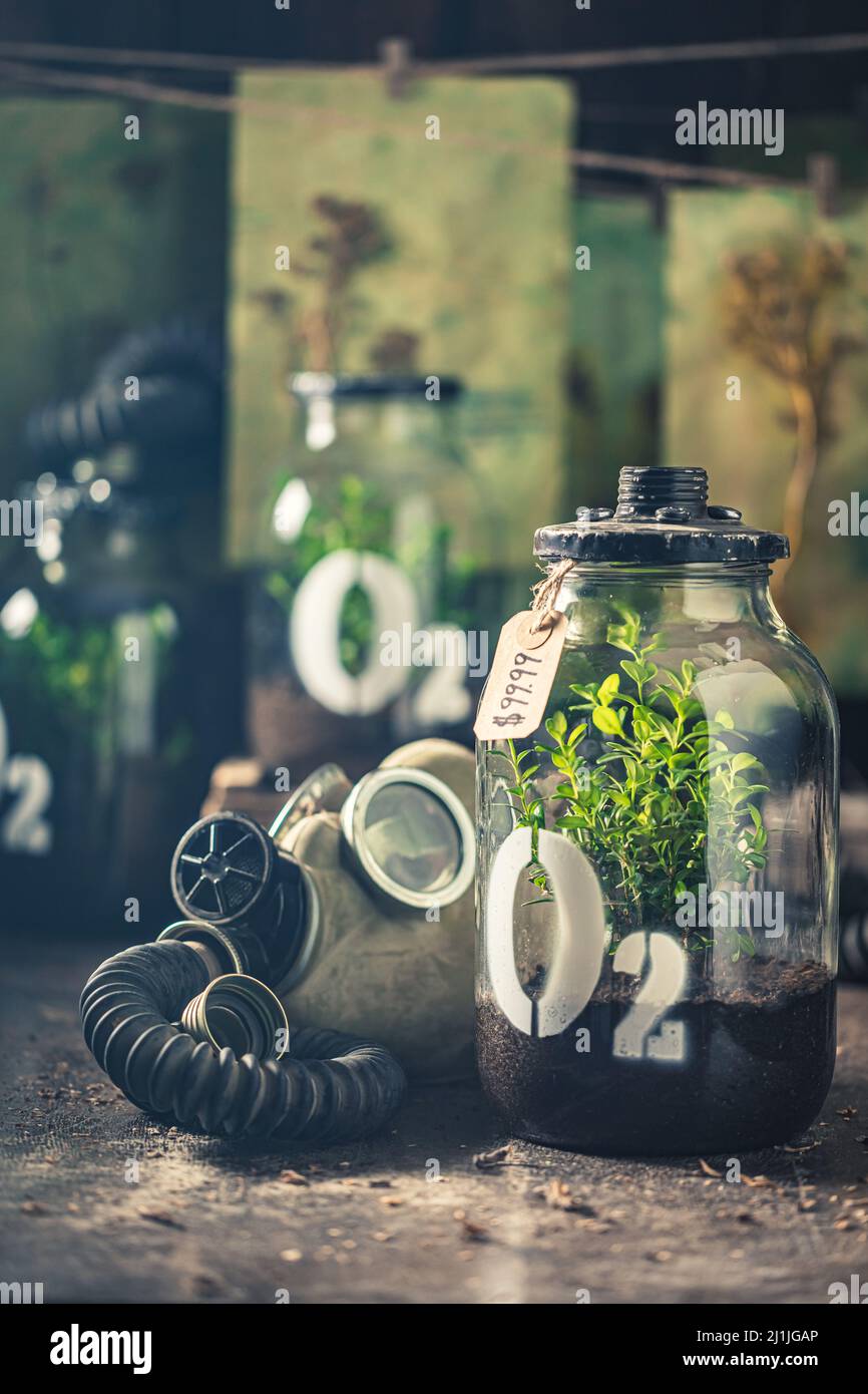 Odd oxygen mask as a problem of air pollution. As a symbol of the lack ...