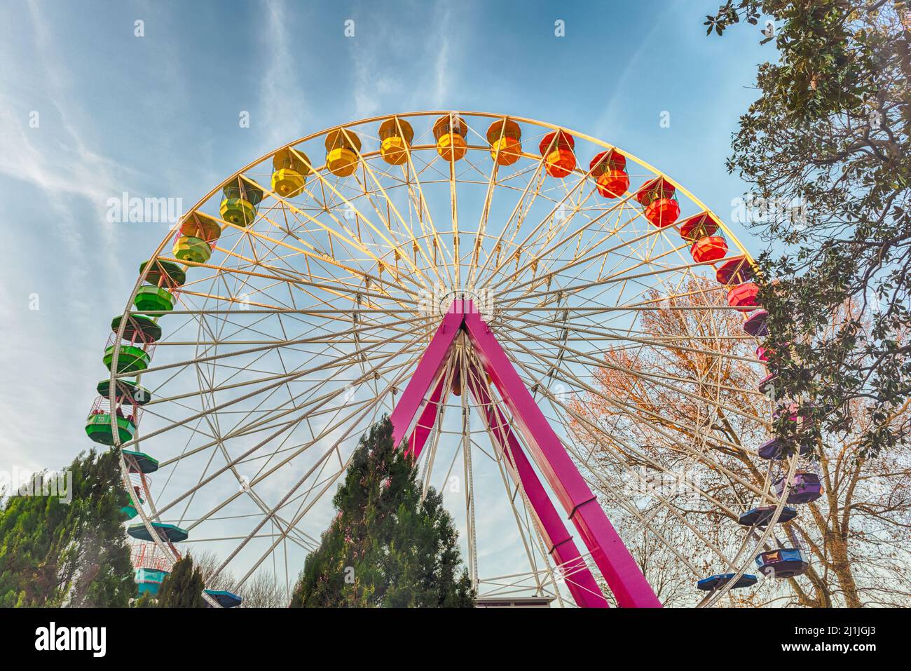 Ferris Wheel surrounded by trees inside an amusement park Stock Photo ...