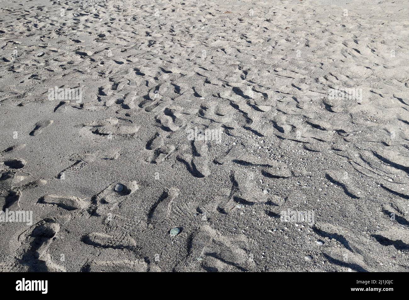 Many footsteps going everywhere on a sandy beach Stock Photo - Alamy