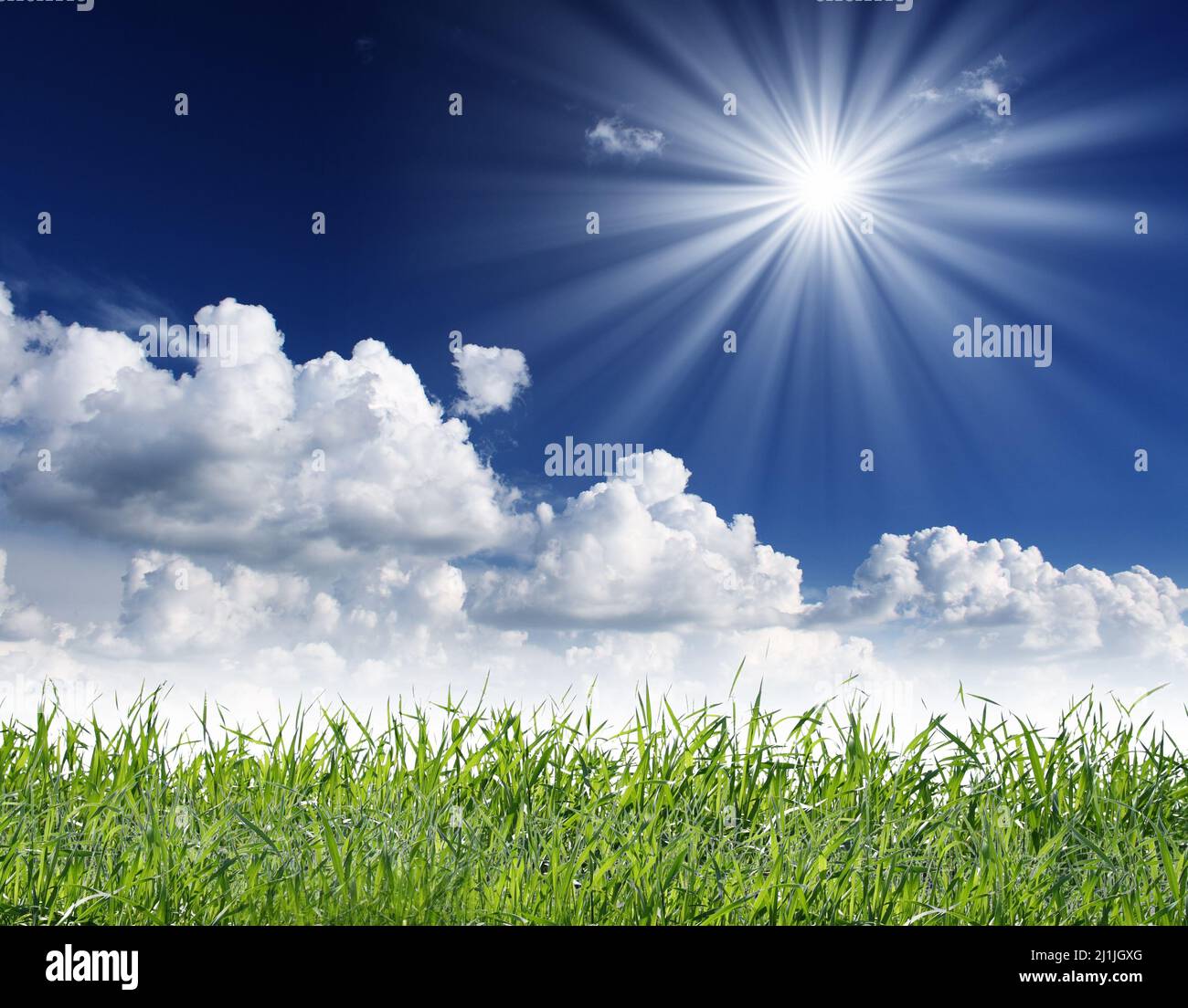 spring field and the beautiful blue sky Stock Photo - Alamy