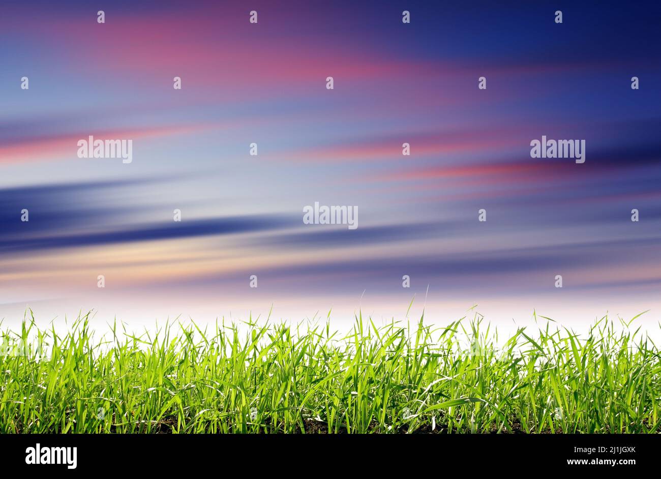 beautiful sunset over field with green grass Stock Photo - Alamy