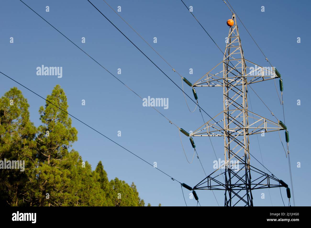 Electrical tower in the forest. Tenerife. Canary Islands. Spain Stock ...