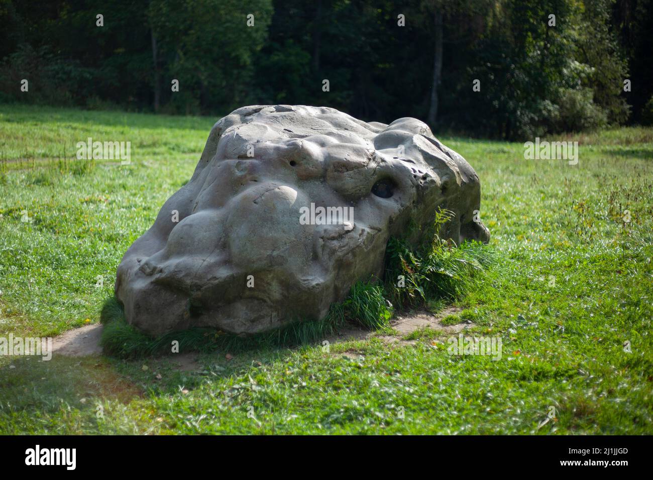 Big stone in park. Landscape design of territory. Unusual stone ingrown ...