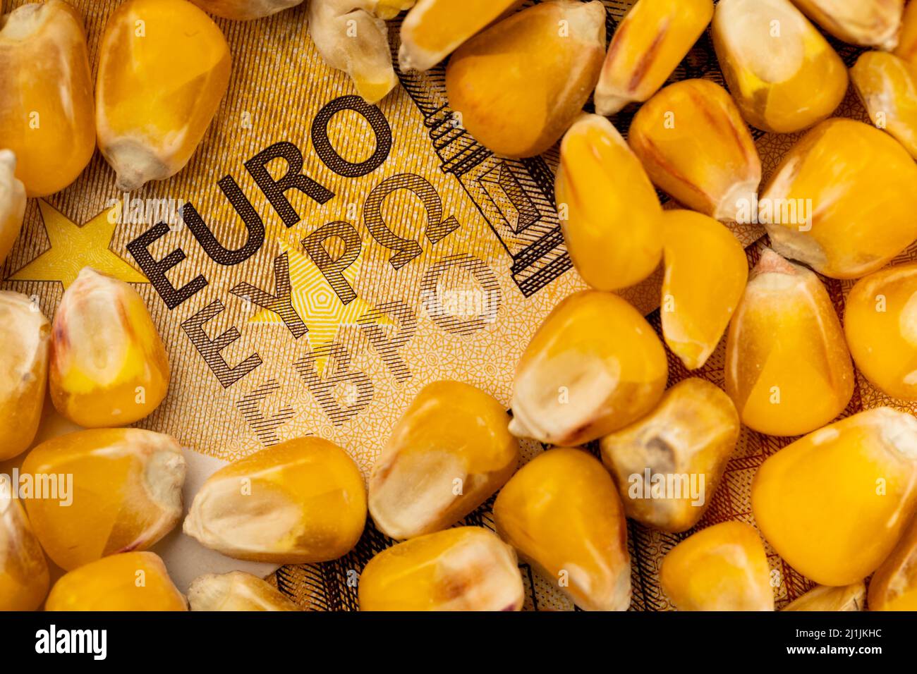 Corn grains with details of 50 Euro banknote. Object lit with a uniform ...
