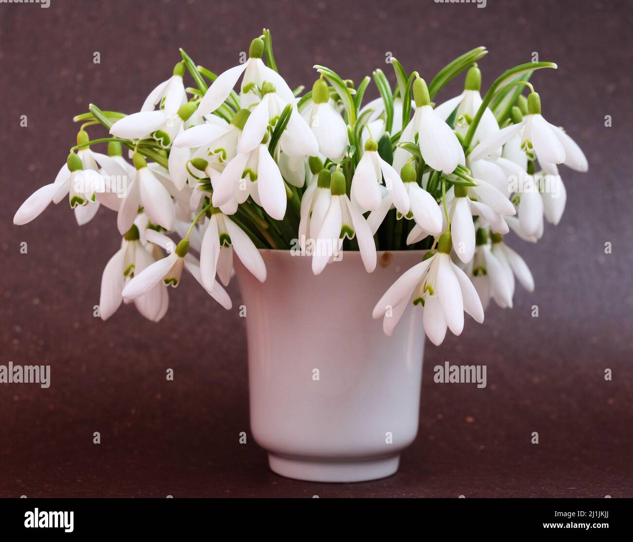 Beautiful bouquet snowdrops in a vase Stock Photo - Alamy