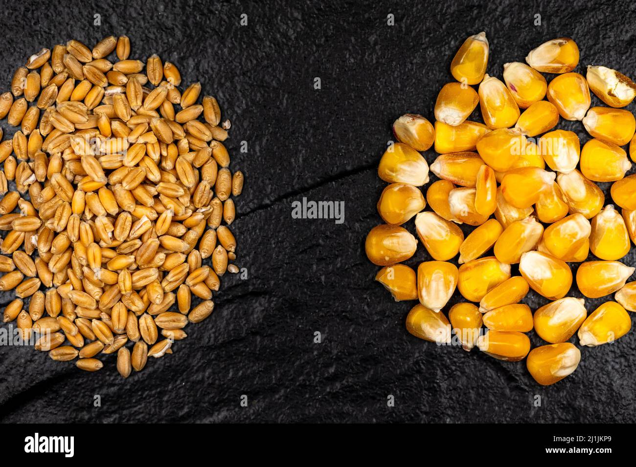 Top view of wheat and corn grain scattered on black, stone surface ...