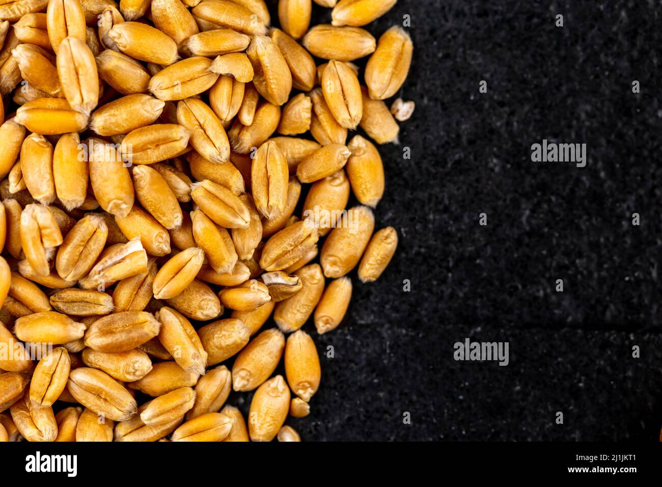 Top view of wheat grain scattered on black, stone surface. Scene lit ...