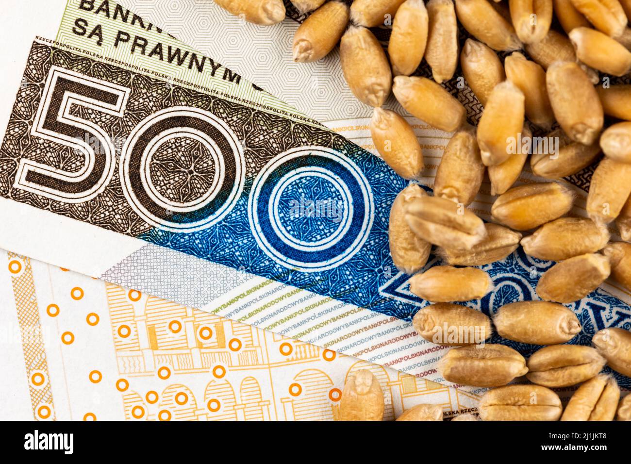 Wheat grains with details of Polish 500 PLN banknote. Object lit with a ...