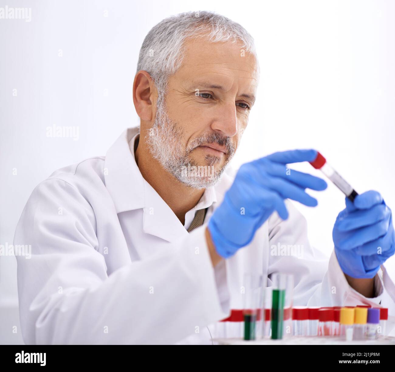 Mature lab hi-res stock photography and images - Alamy
