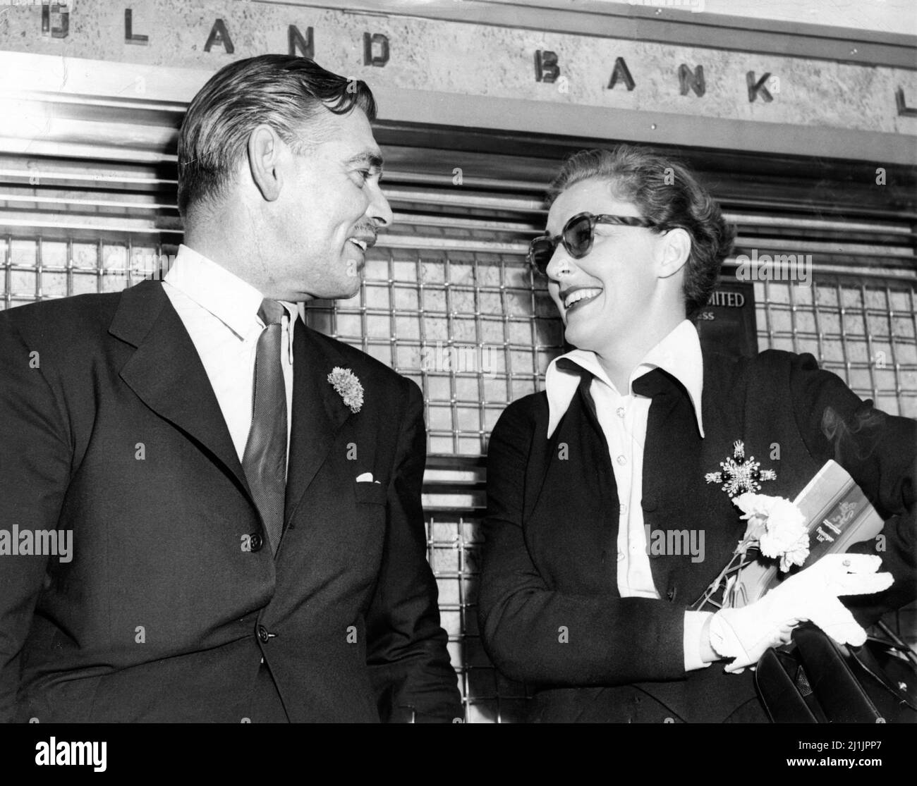 Slim hawks hi-res stock photography and images - Alamy