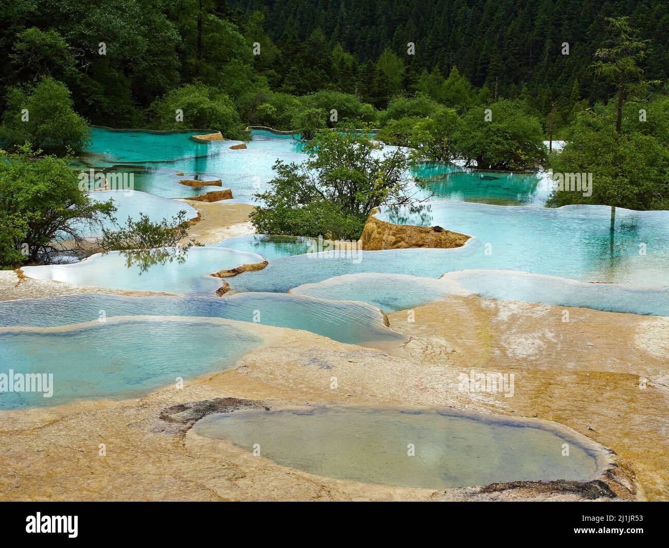 A natural blue pool in Huanglong national surrounded by lush green ...