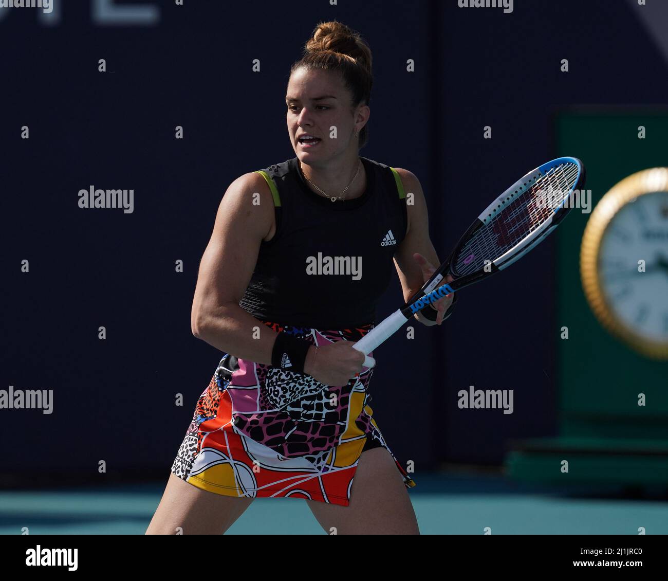 Beatriz maia hi-res stock photography and images - Alamy