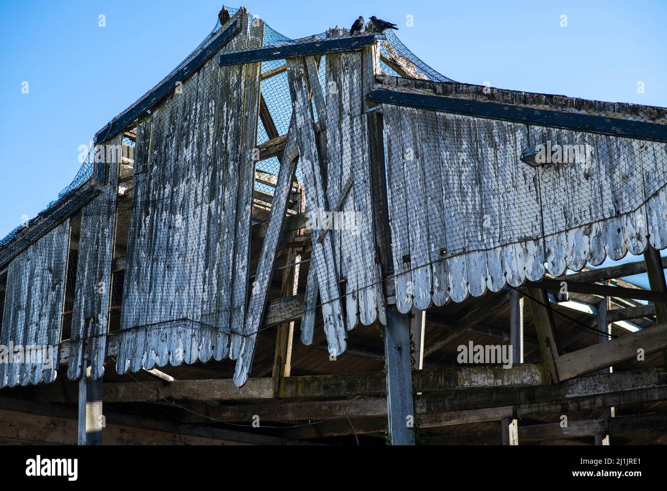 Abandoned buildings in urban agglomeration, urban ruins Stock Photo - Alamy