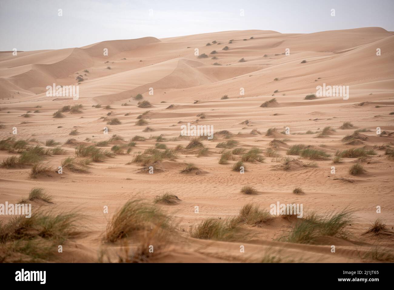Mauritania desert hi-res stock photography and images - Alamy