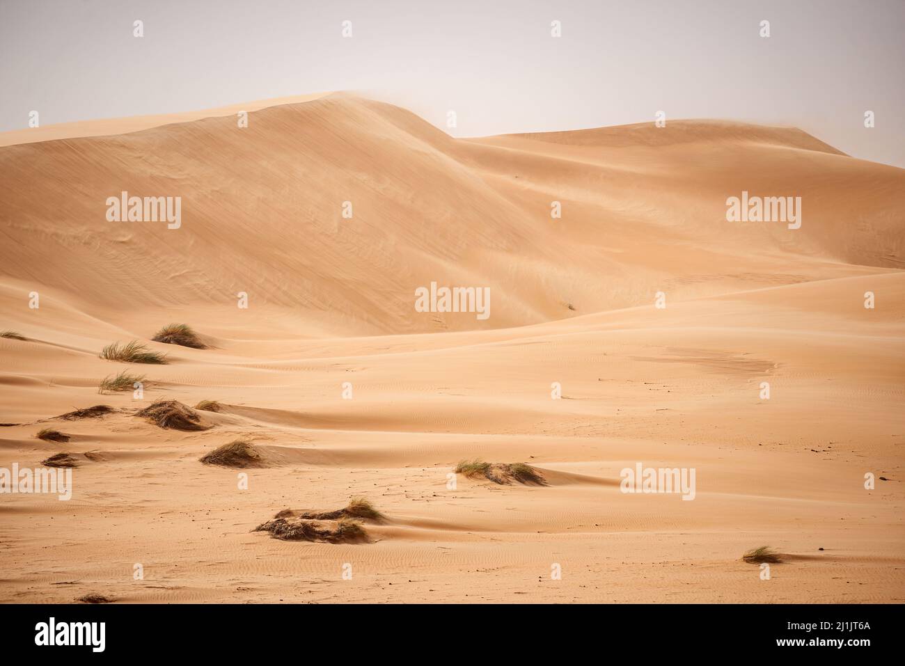 Mauritania desert hi-res stock photography and images - Alamy