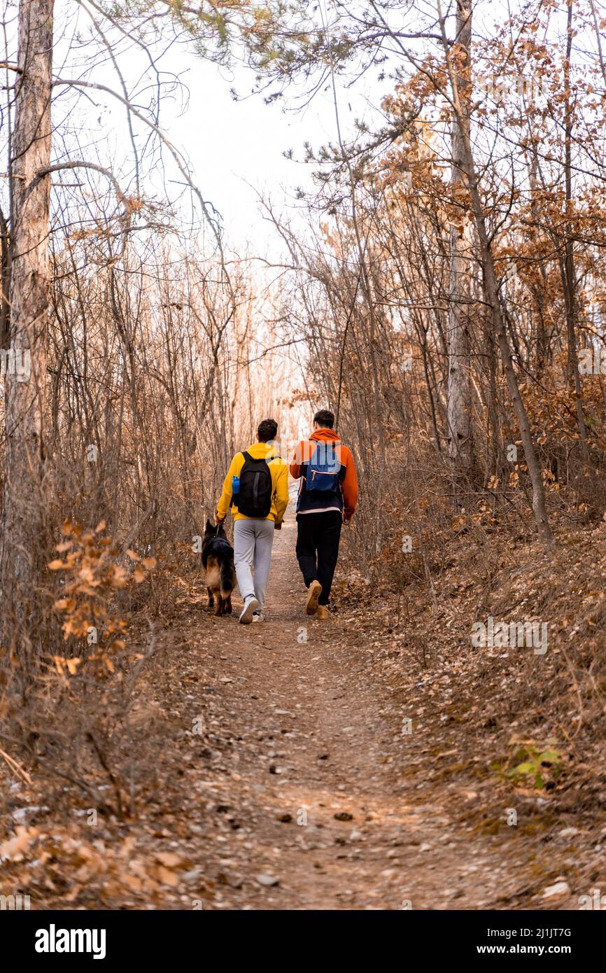 Amazing and handsome male friends are walking with the dog together in ...